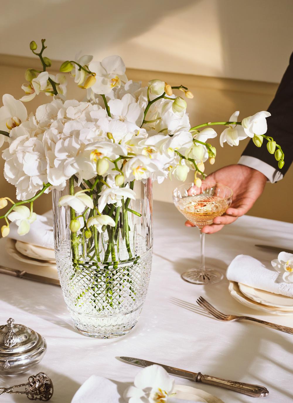 Waterford Crystal Irish Lace Martini Glass Pair | Blarney